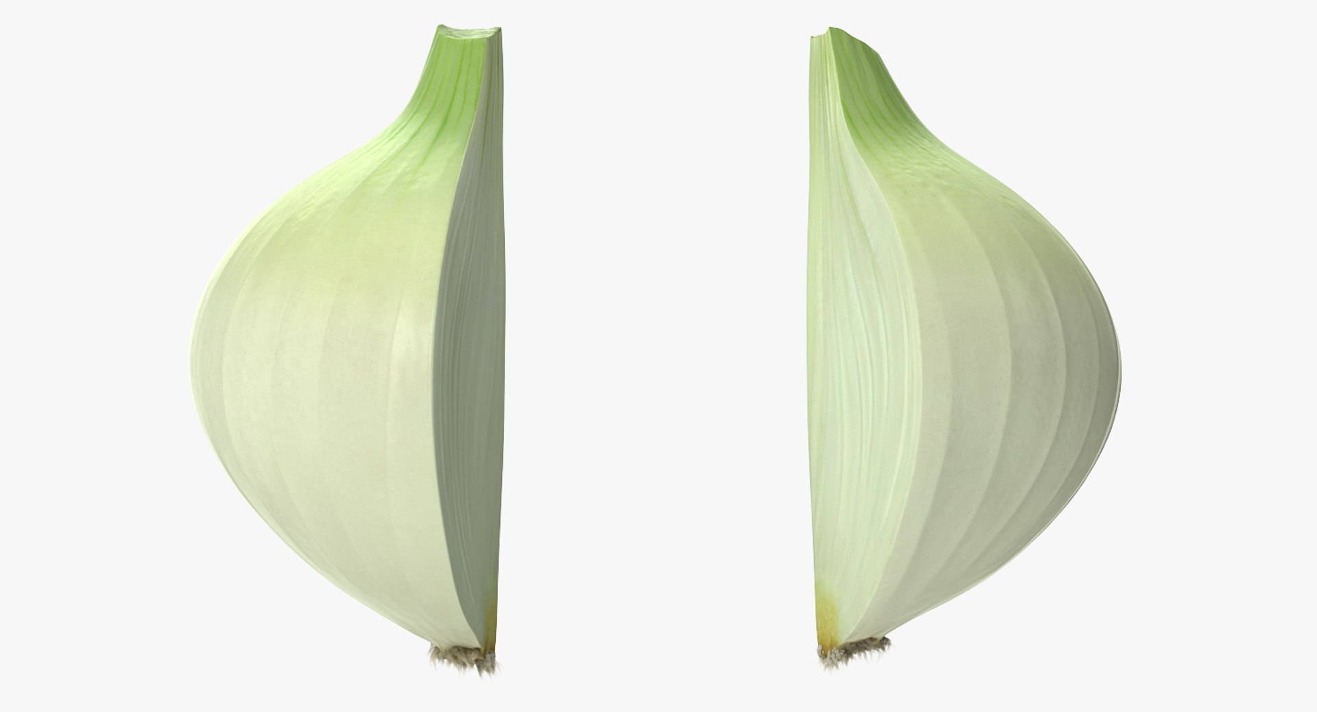 3D onion 2 - TurboSquid 1191575