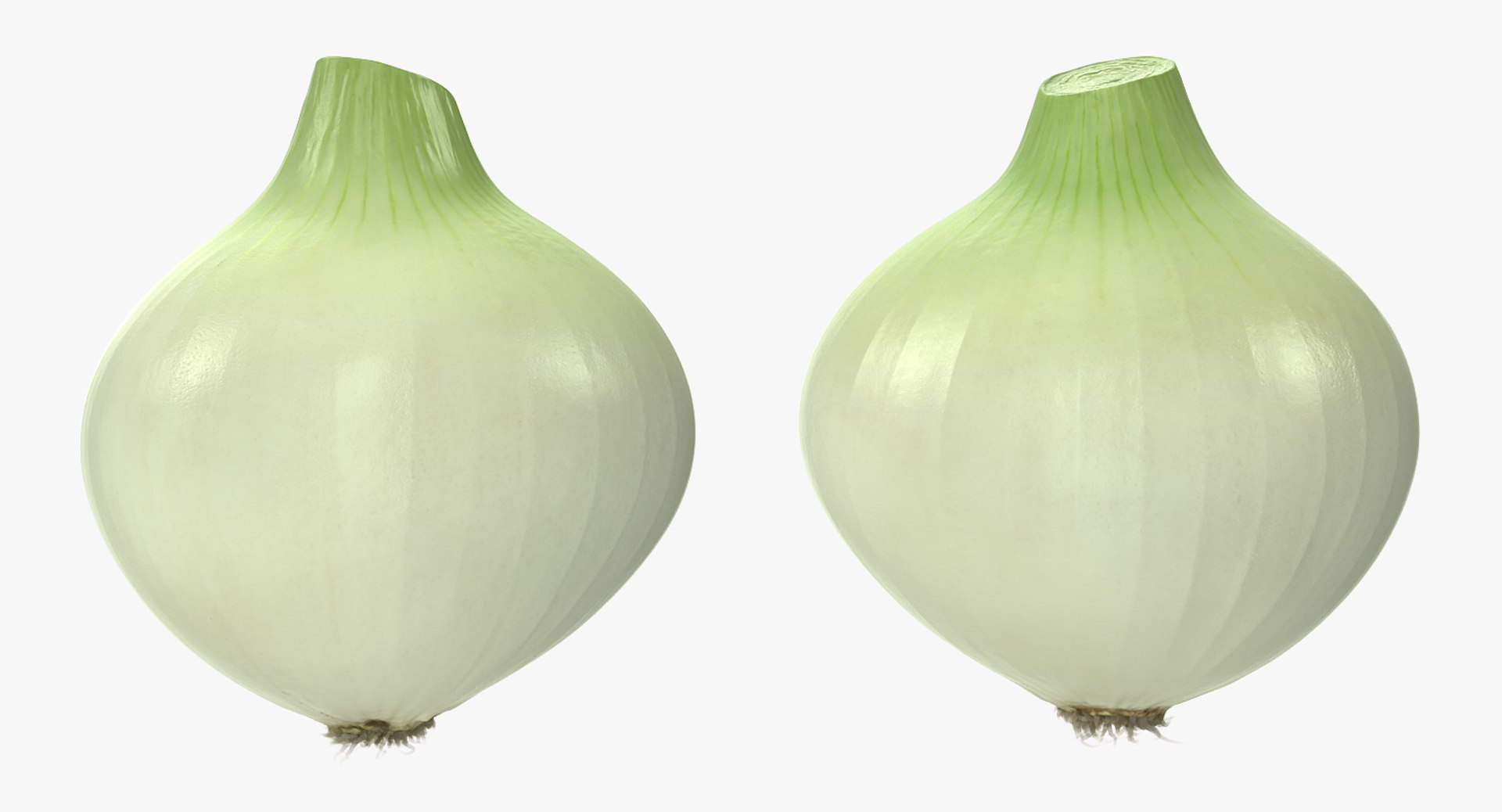 3D Onion 2 - TurboSquid 1191575