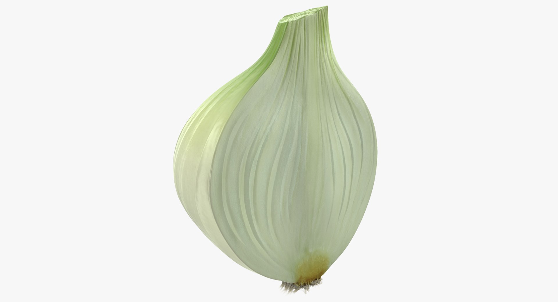 3D Onion 2 - TurboSquid 1191575
