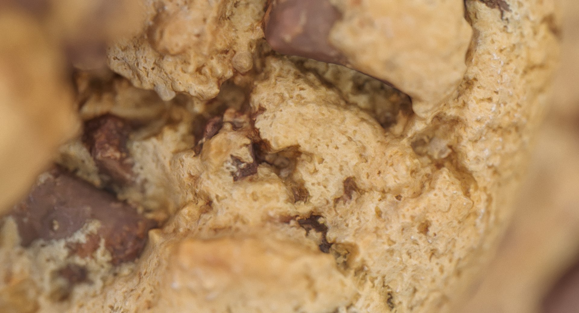 Realistic 3 chocolate chip model - TurboSquid 1365237