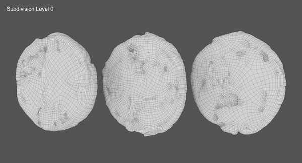 Realistic 3 chocolate chip model - TurboSquid 1365237