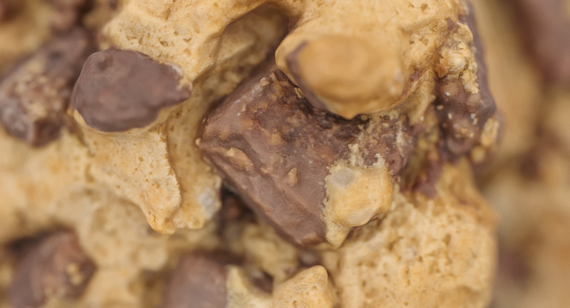 Realistic 3 chocolate chip model - TurboSquid 1365237