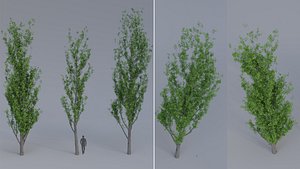 Free Blender Tree Models | TurboSquid