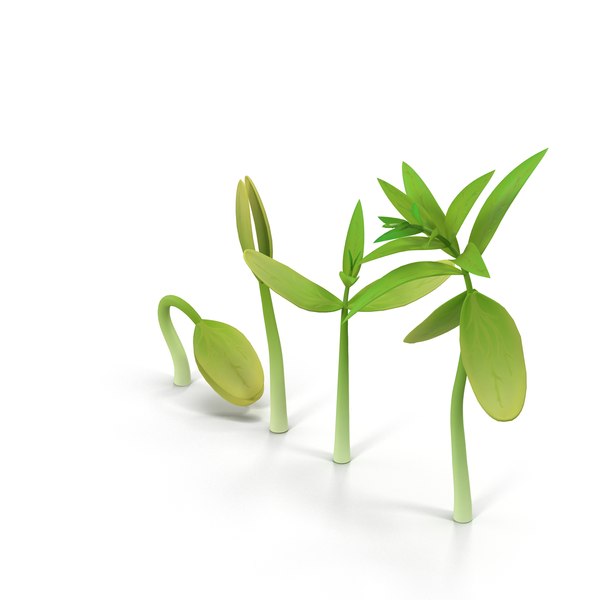 3d sprouts