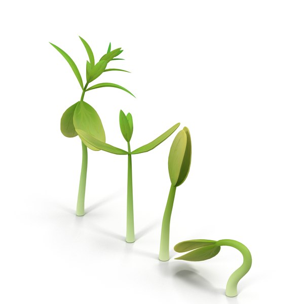 3d sprouts