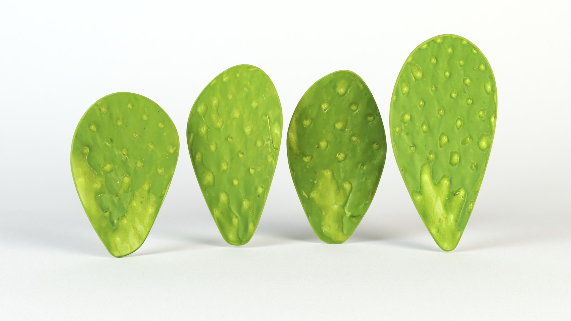 Fresh Mexican Nopal 3D Model - TurboSquid 2159456