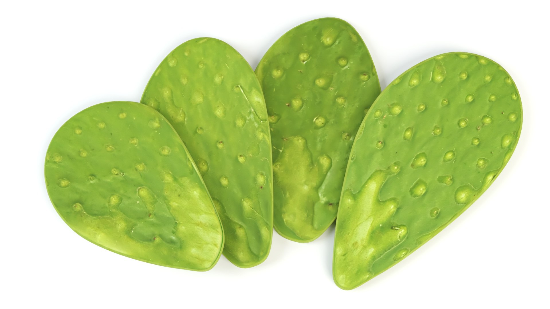 Fresh Mexican Nopal 3D model - TurboSquid 2159456