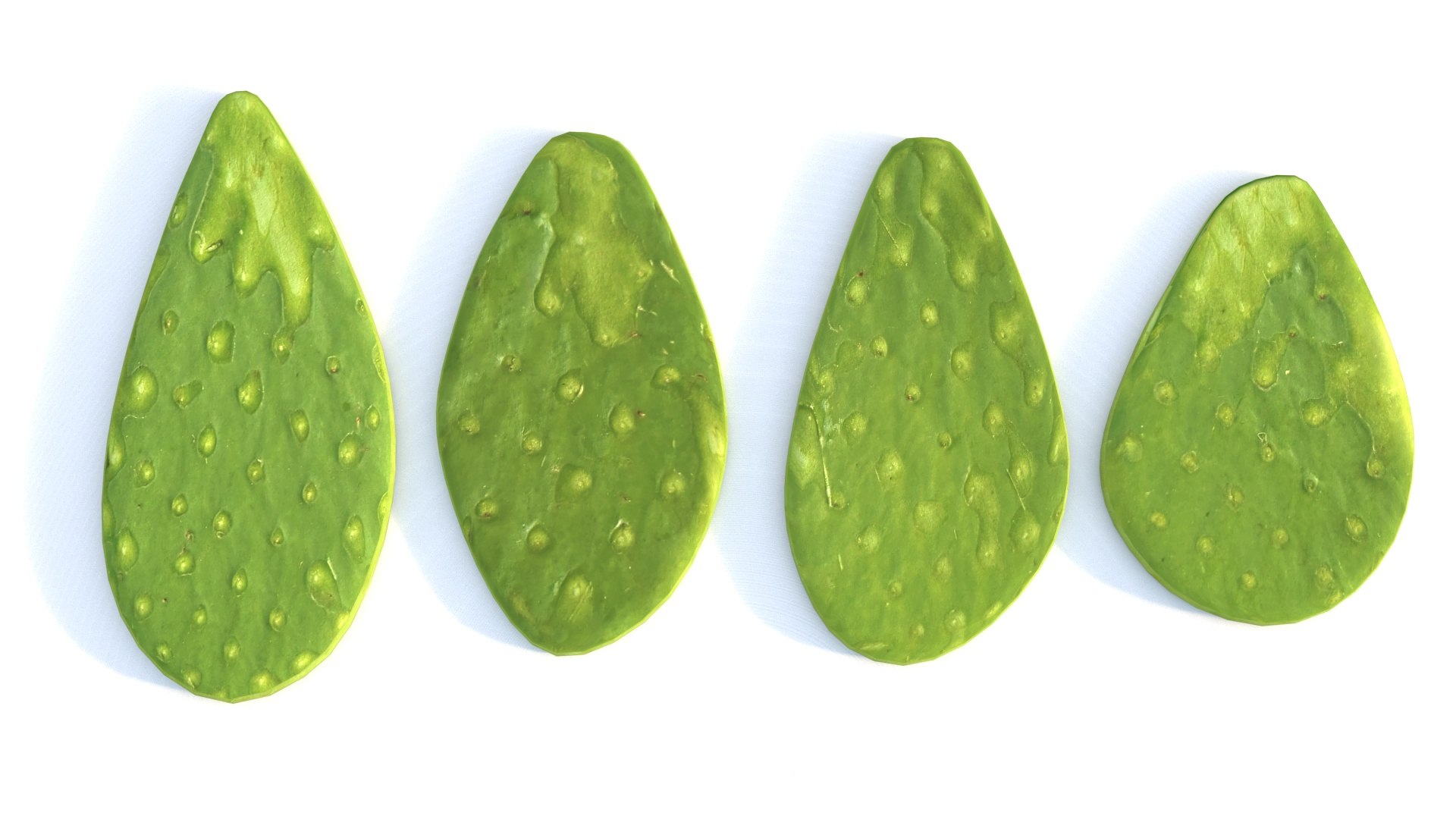 Fresh Mexican Nopal 3D Model - TurboSquid 2159456