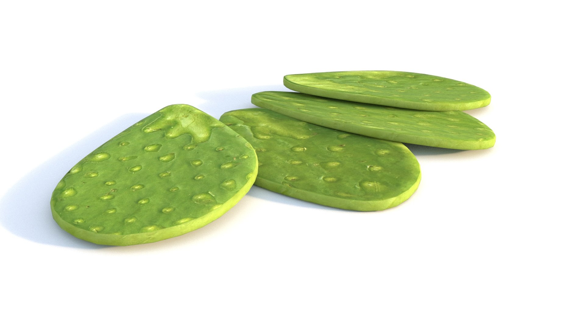 Fresh Mexican Nopal 3D model - TurboSquid 2159456
