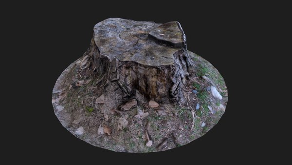 Scan bpr tree stump 3D model - TurboSquid 1635215