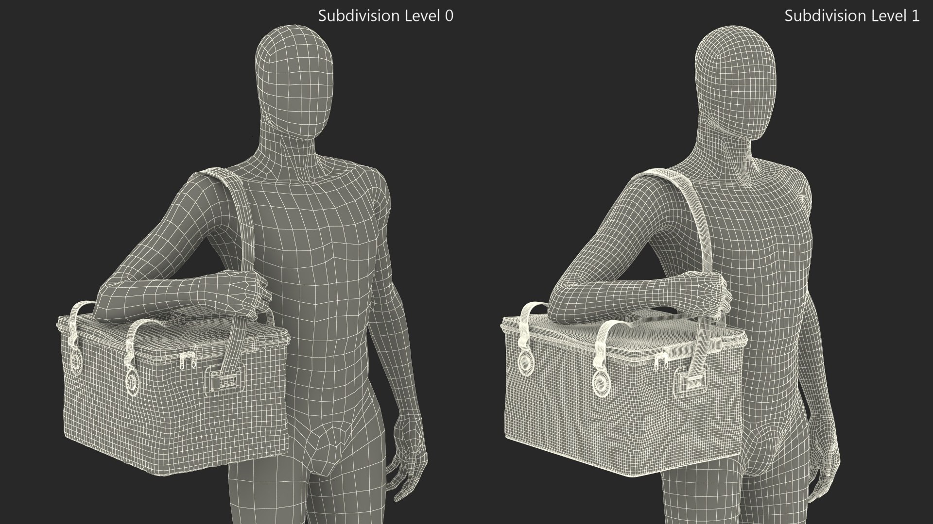Black Thermal Fishing Bag Lucky John On Manikin 3D Model - TurboSquid ...