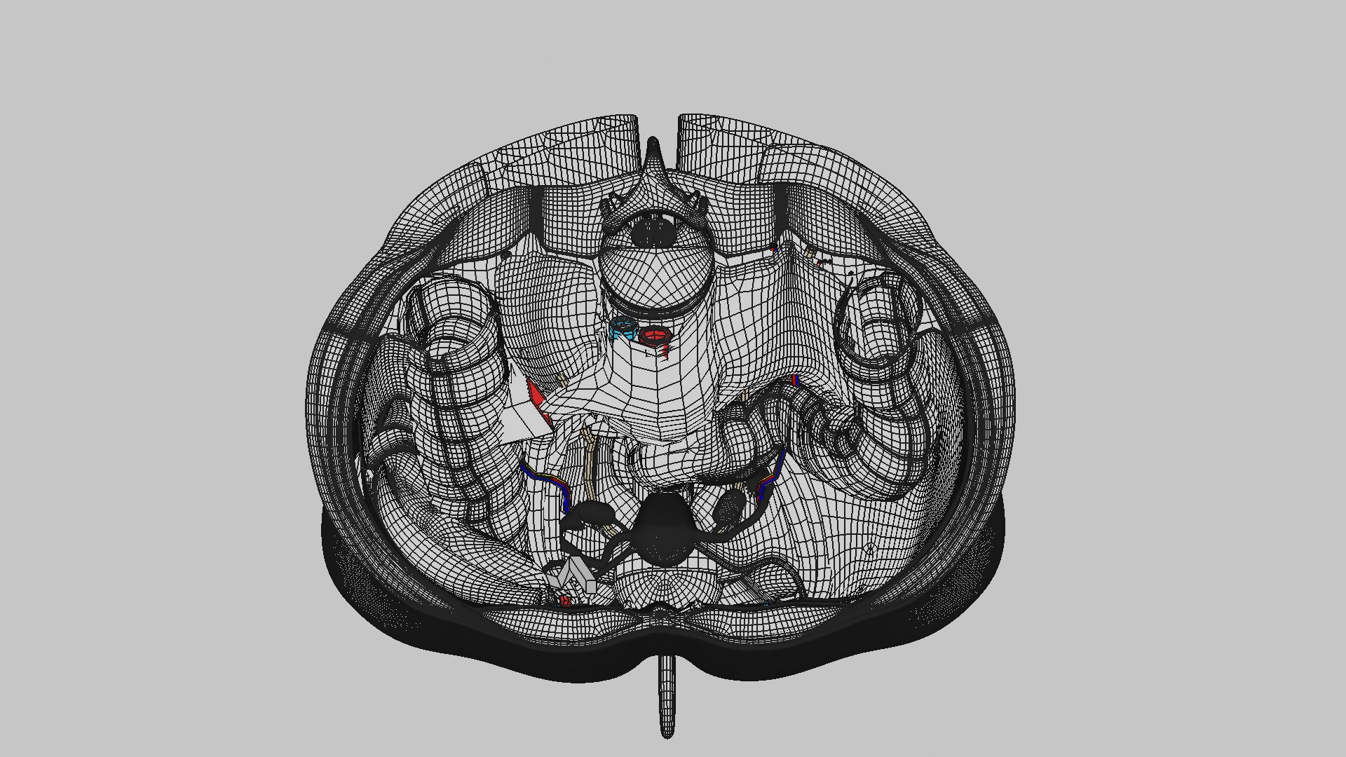 Pelvis And Perineum 3D Model - TurboSquid 1965349