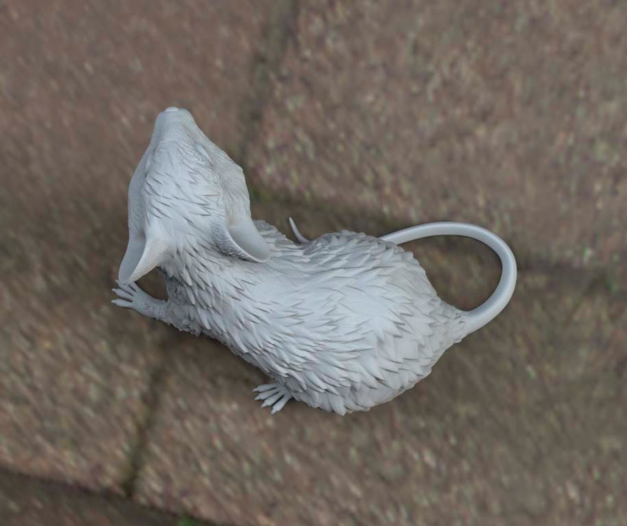 Rat Mouse Rodent 3D Model - TurboSquid 1470899