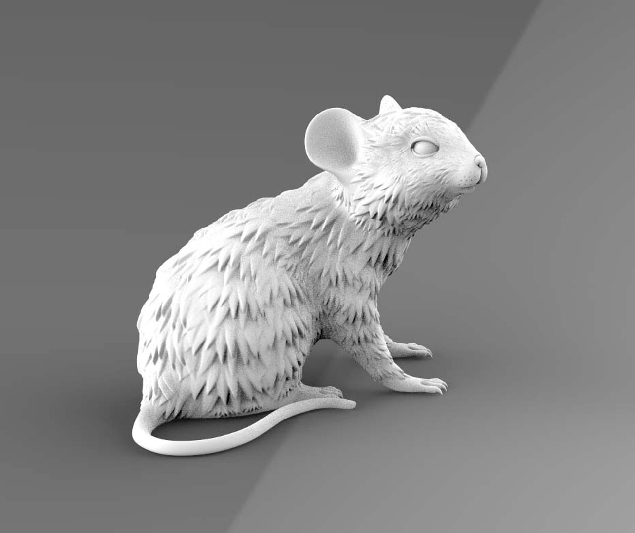 Rat Mouse Rodent 3D Model - TurboSquid 1470899