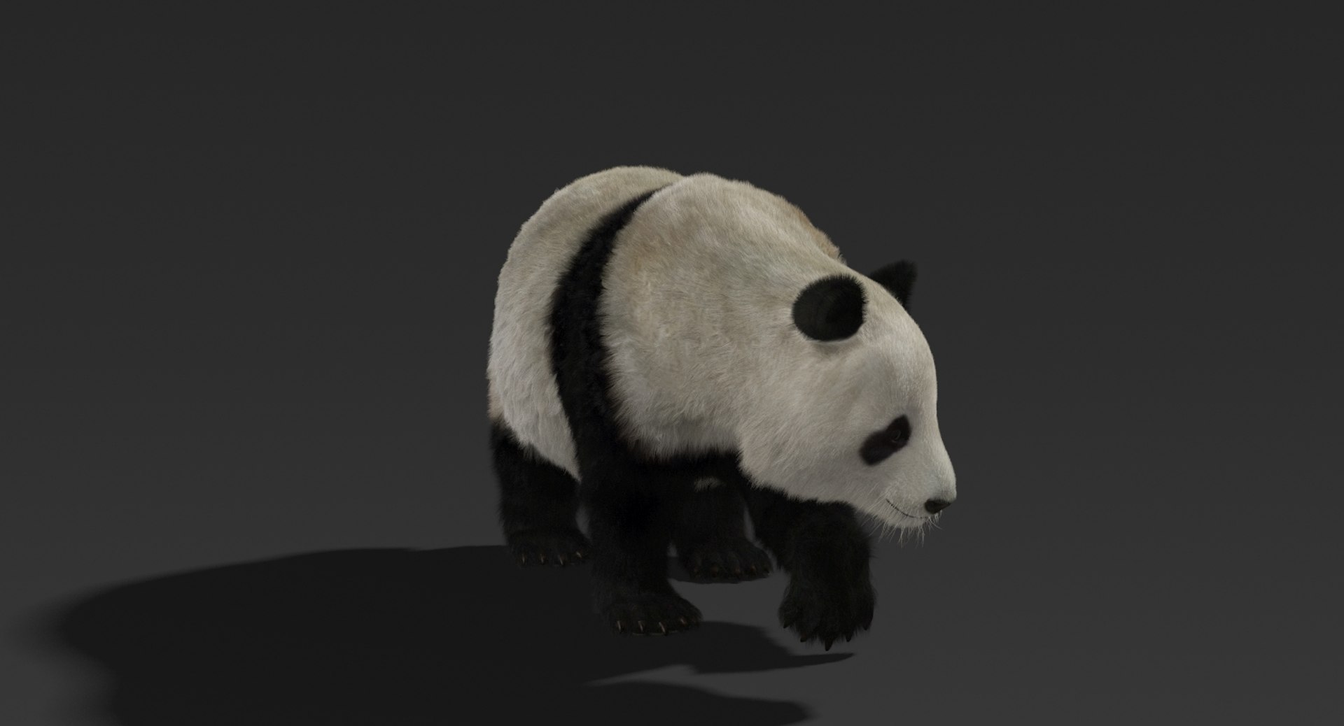 3D Giant Panda Fur Rigged - TurboSquid 1177786