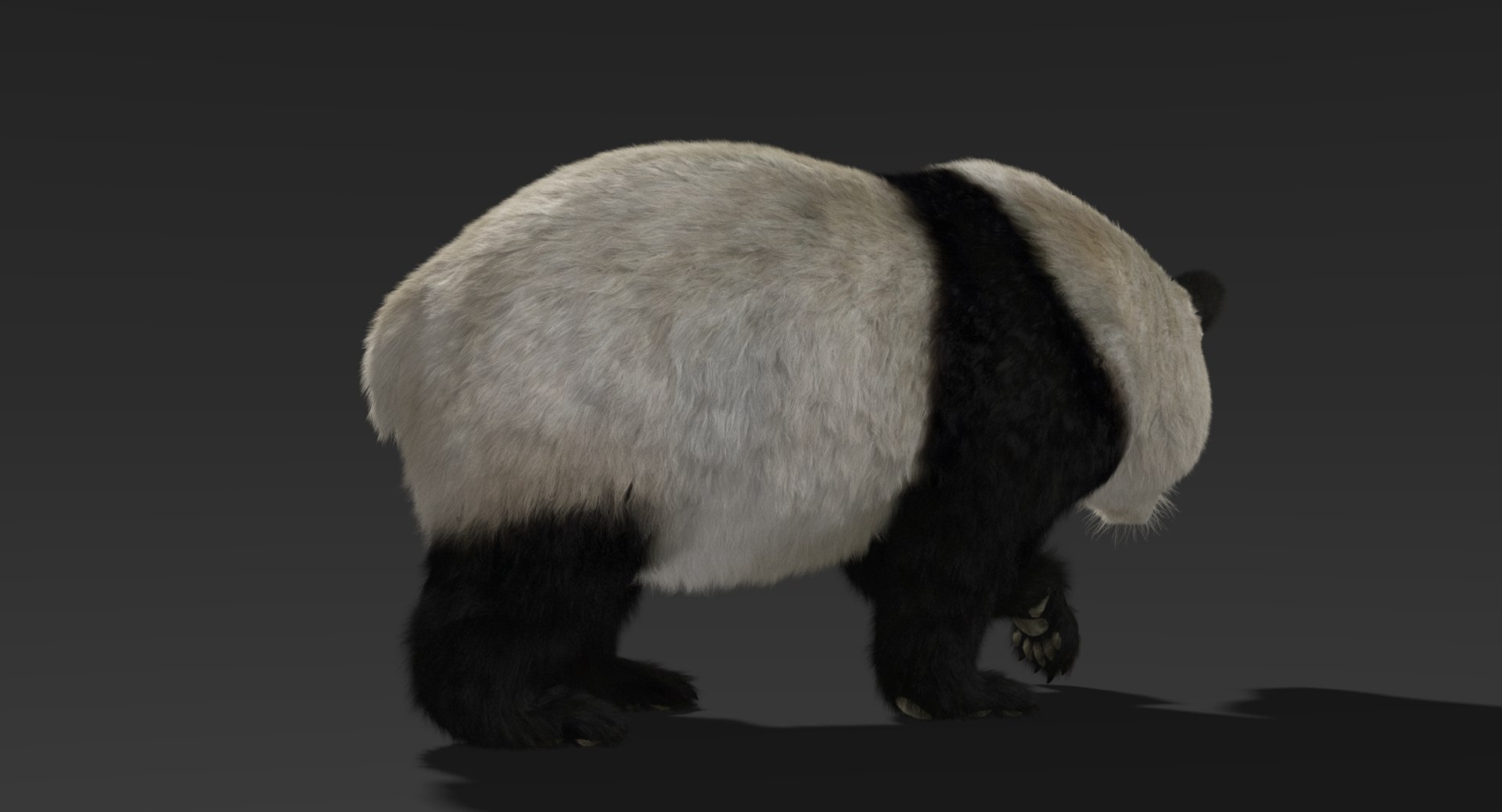 3D Giant Panda Fur Rigged - TurboSquid 1177786