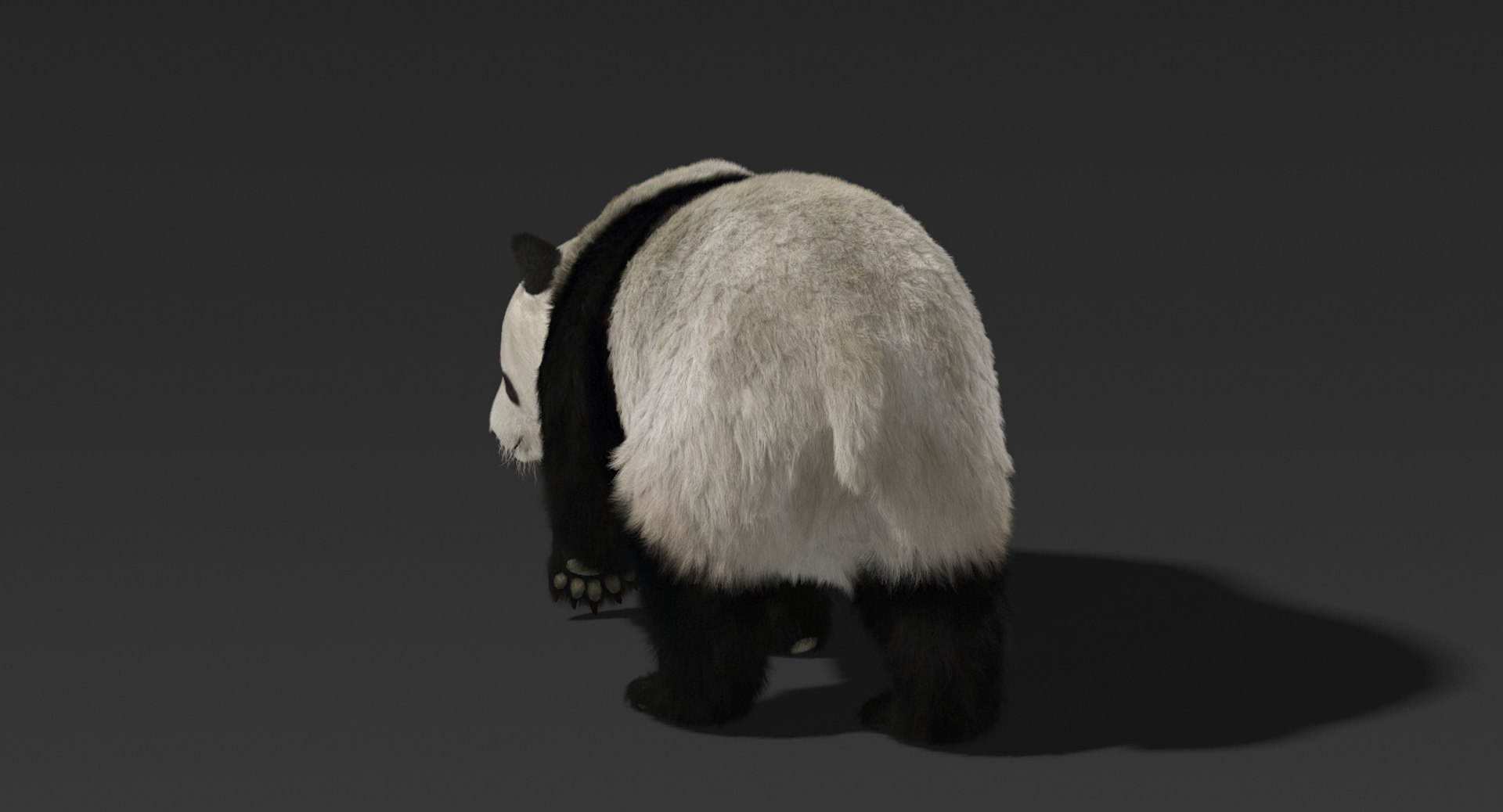 3D Giant Panda Fur Rigged - TurboSquid 1177786