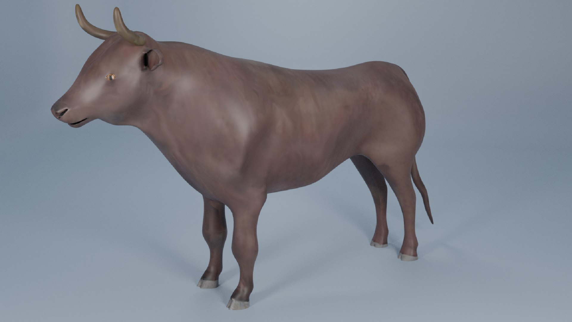3D Bull Model - TurboSquid 1945914
