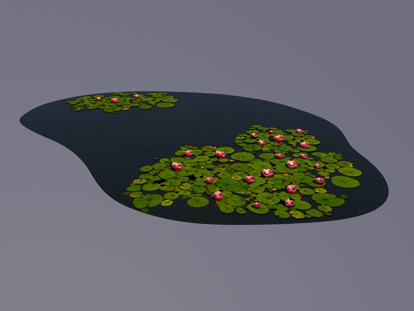 3D Water Pond Lily Pads Model - TurboSquid 1417355