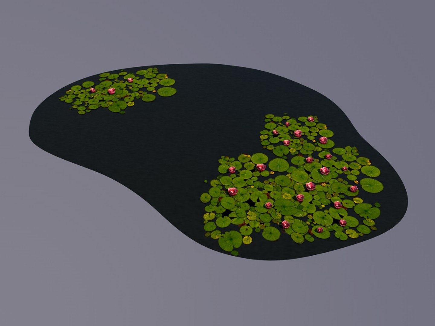 3D Water Pond Lily Pads Model - TurboSquid 1417355