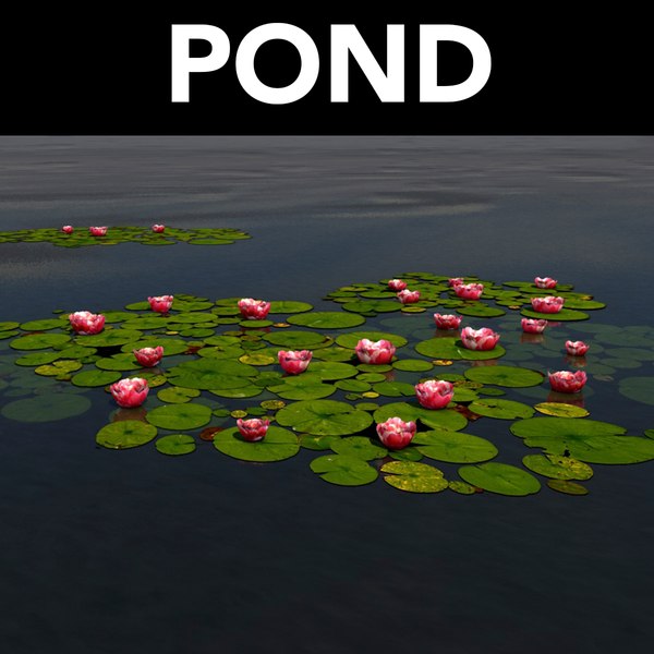 Pond 3D Models for Download | TurboSquid