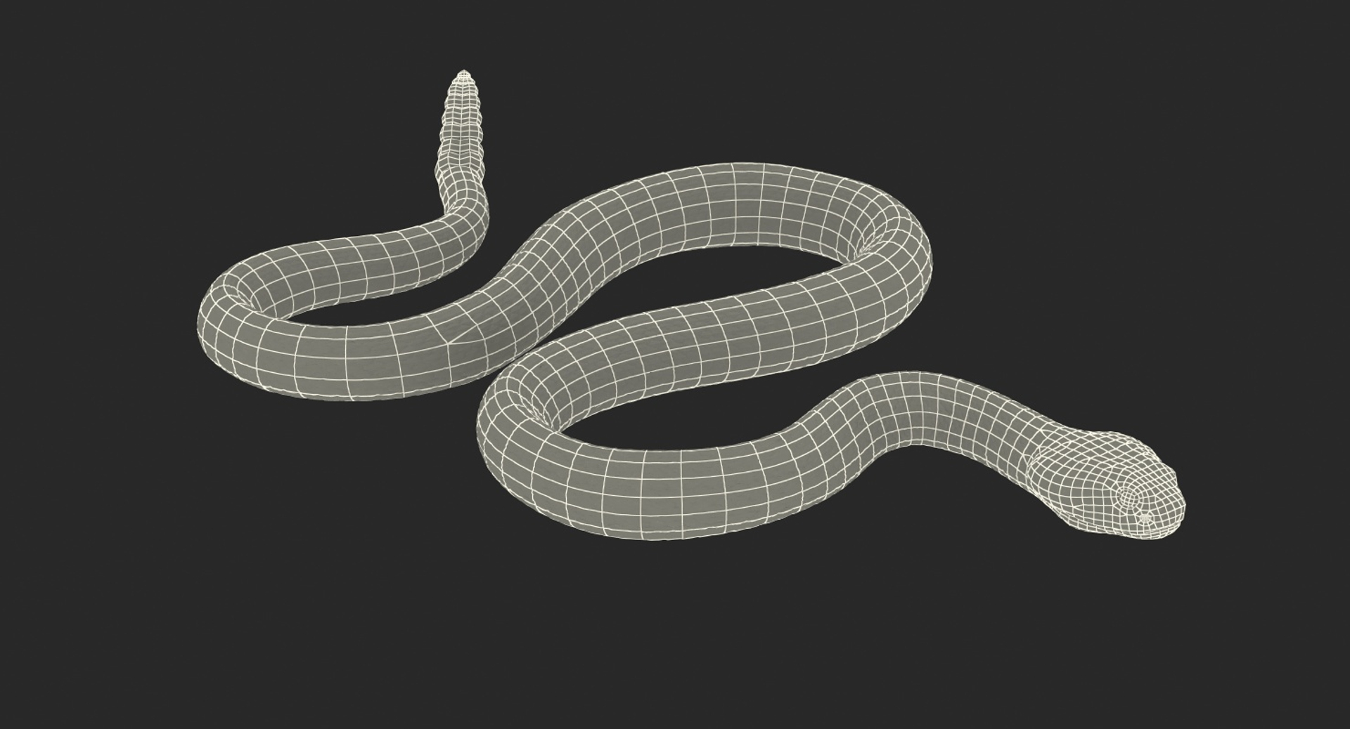 3D Dark Rattlesnake Crawling Pose - TurboSquid 1398398