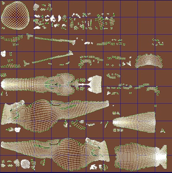 max brain medical nerves