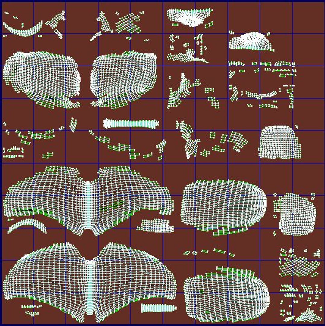 Max Brain Medical Nerves
