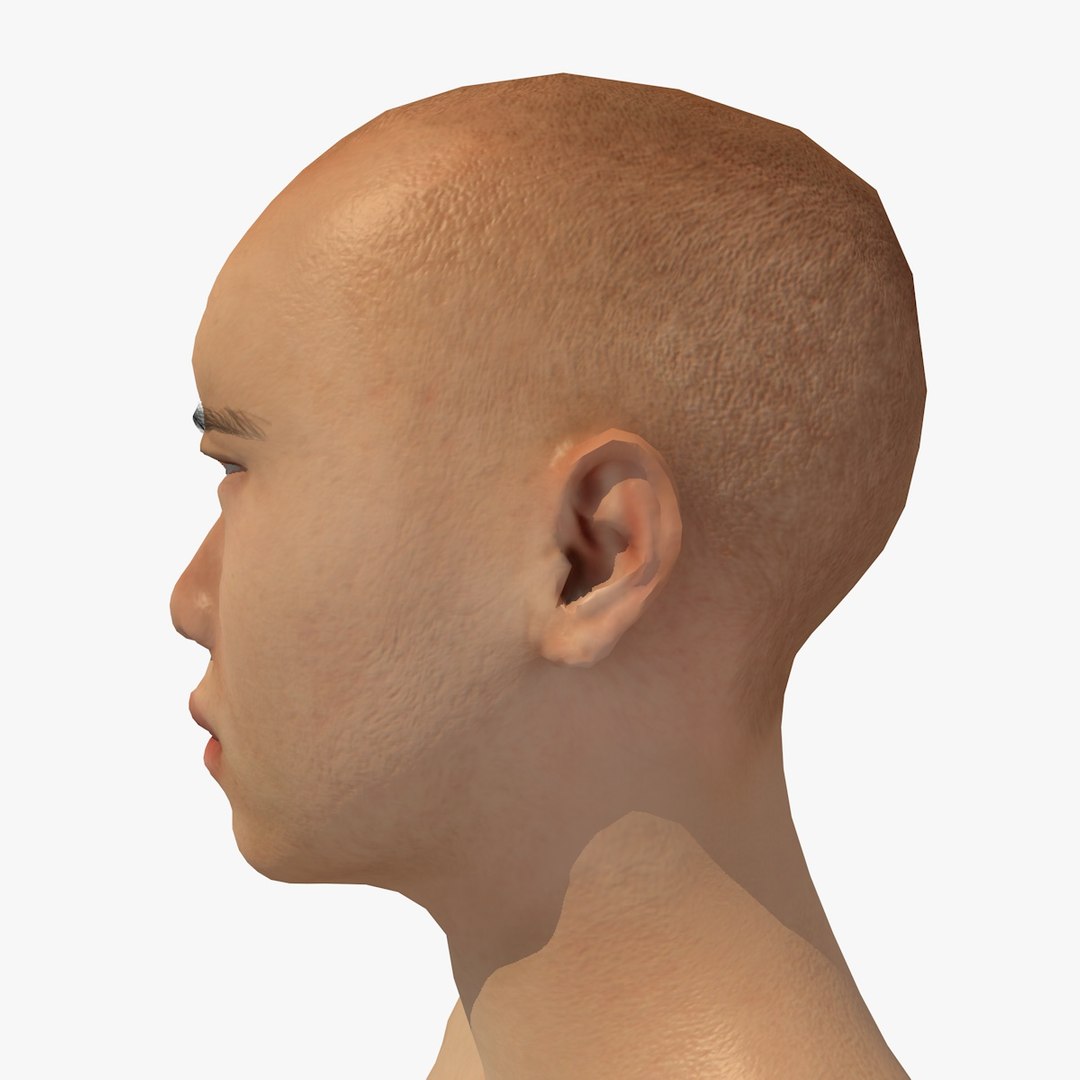 3D Realistic Human Body 25 - TurboSquid 1260211