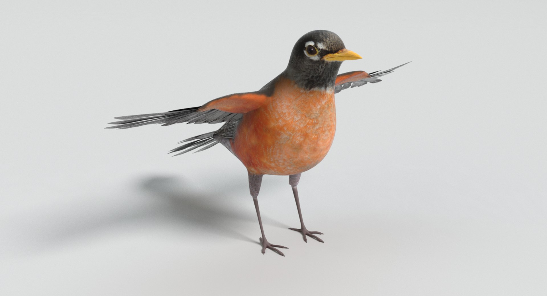 3D Model American Robin - TurboSquid 1174084