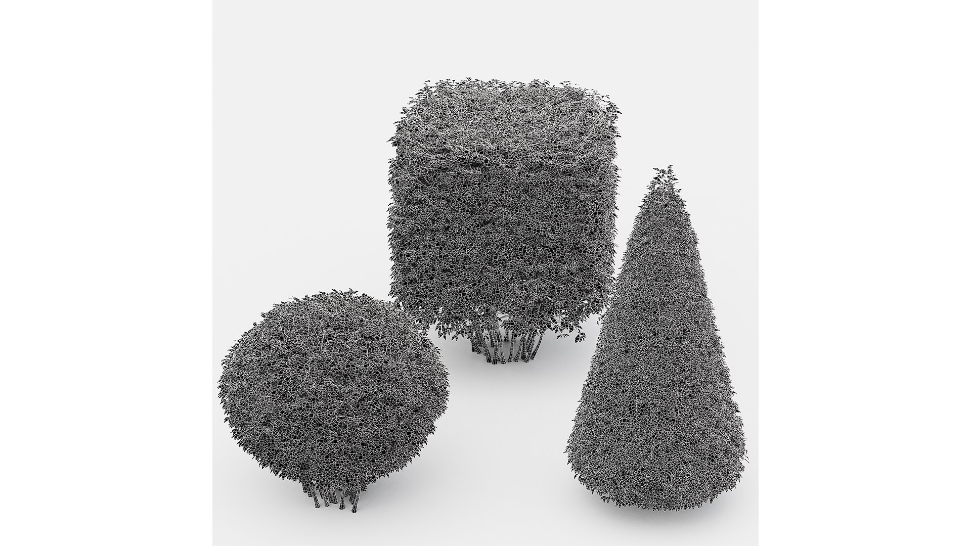 Dwarf Yaupon Holly Spherical And Cone And Box Hedge 3D - TurboSquid 2245049