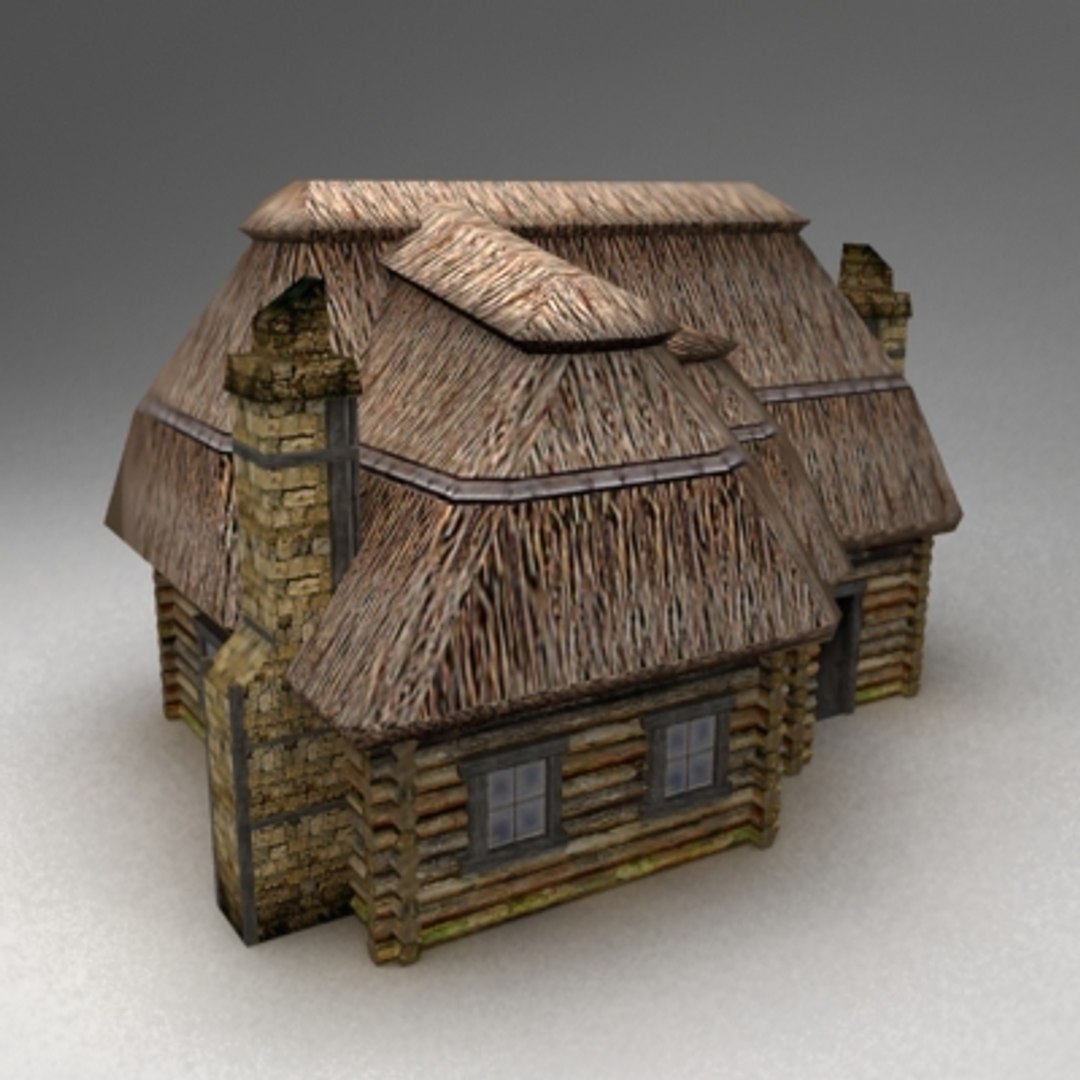 Village House 3d Model