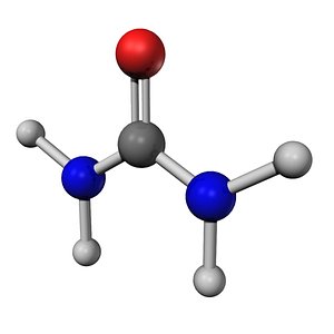 3D Urea Models | TurboSquid