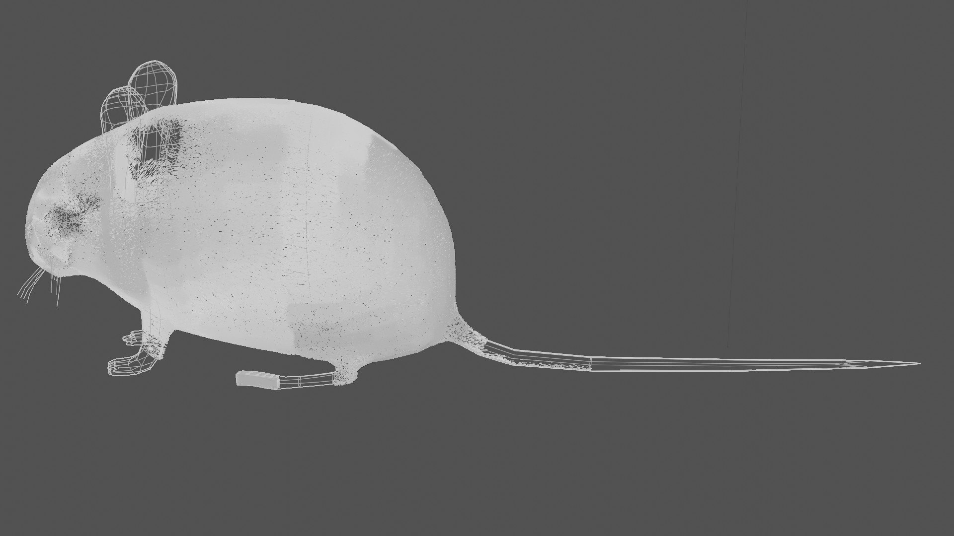 3D Mouse OBJ - TurboSquid 2077261