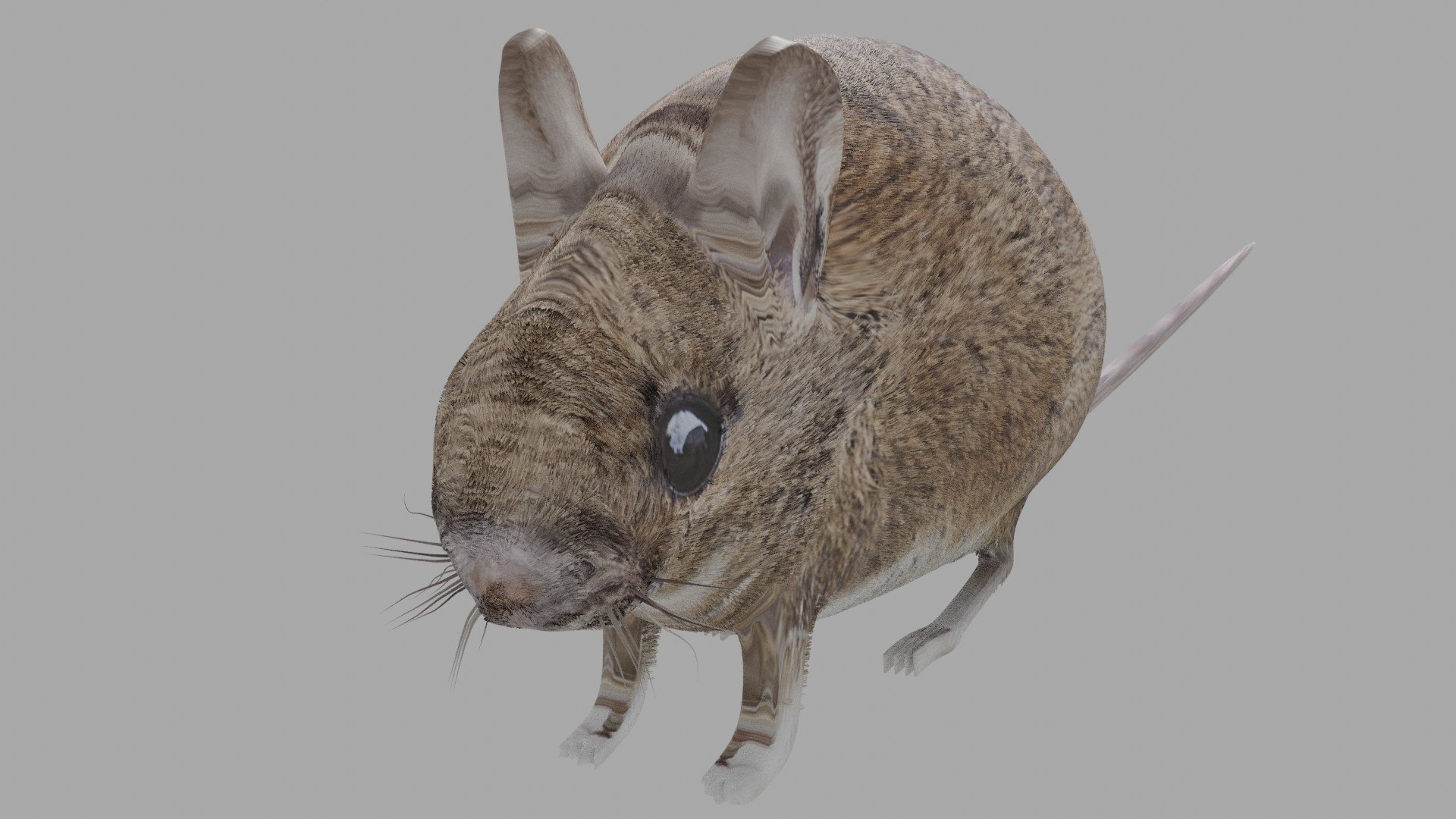 3D Mouse OBJ - TurboSquid 2077261