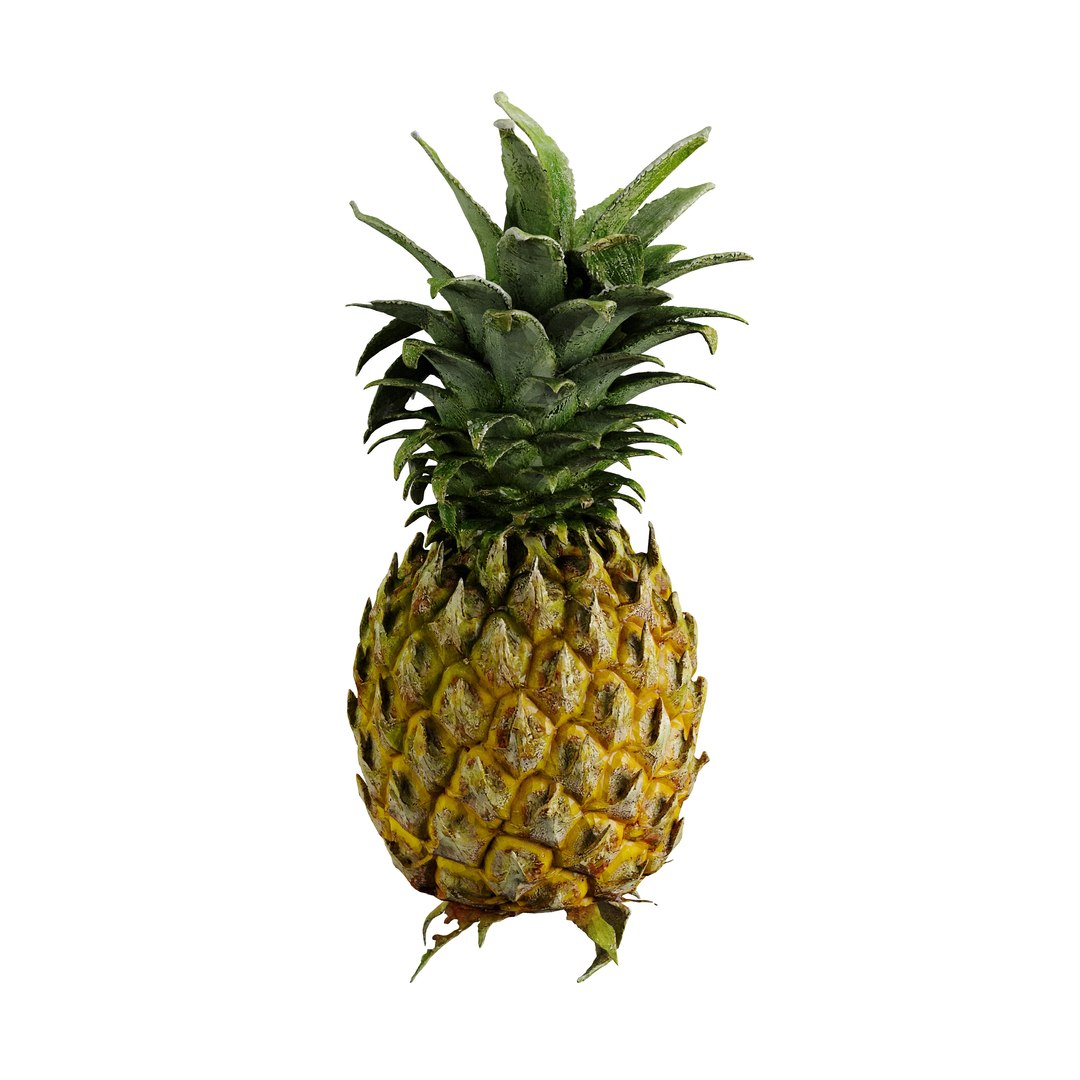 3D Model Pineapple - TurboSquid 2056485