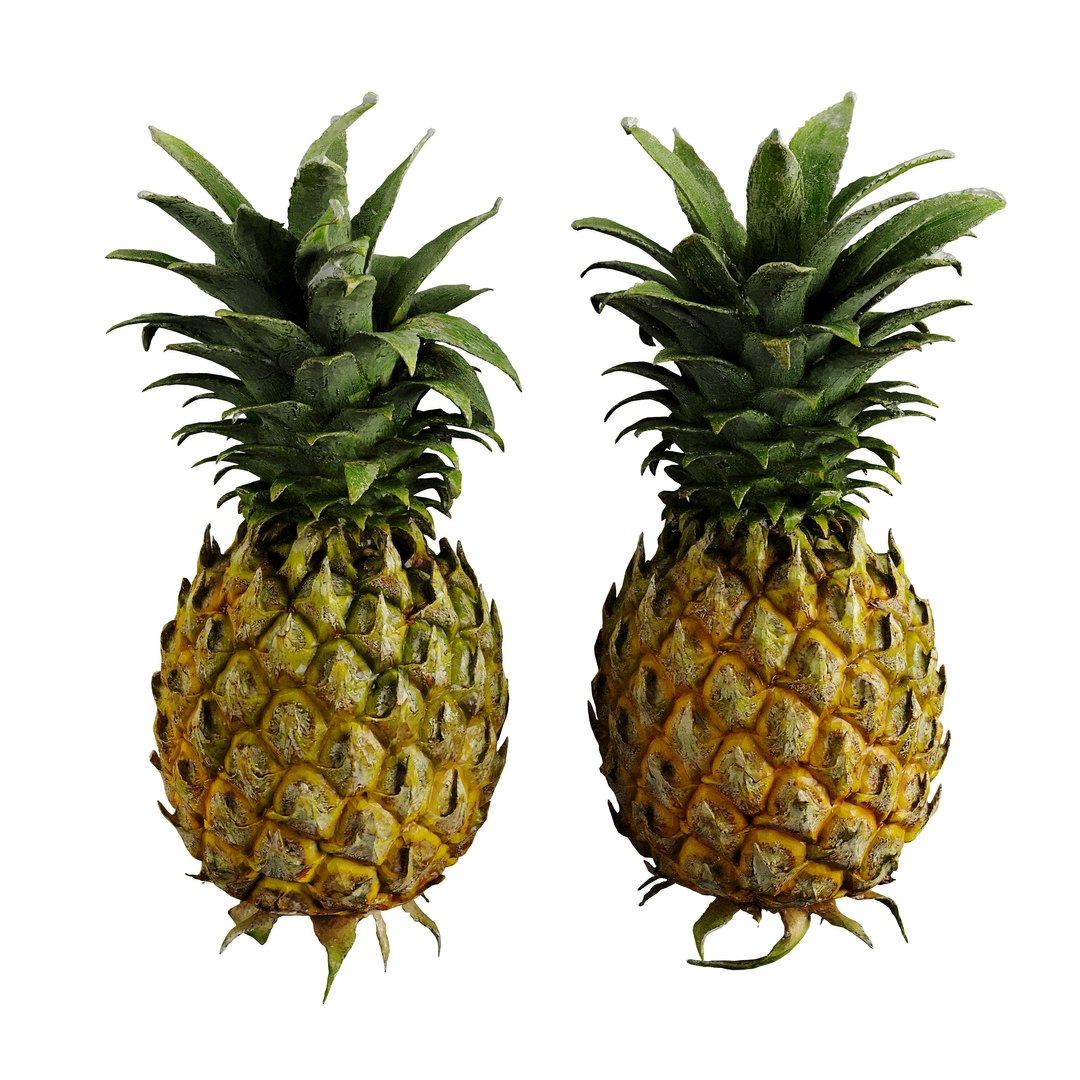 3D Model Pineapple - TurboSquid 2056485