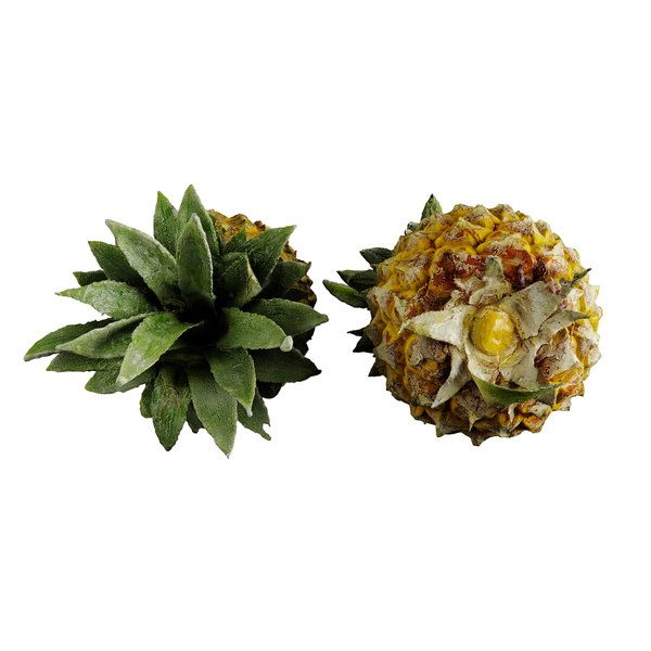 modelo 3d Pineapple - TurboSquid 2056485
