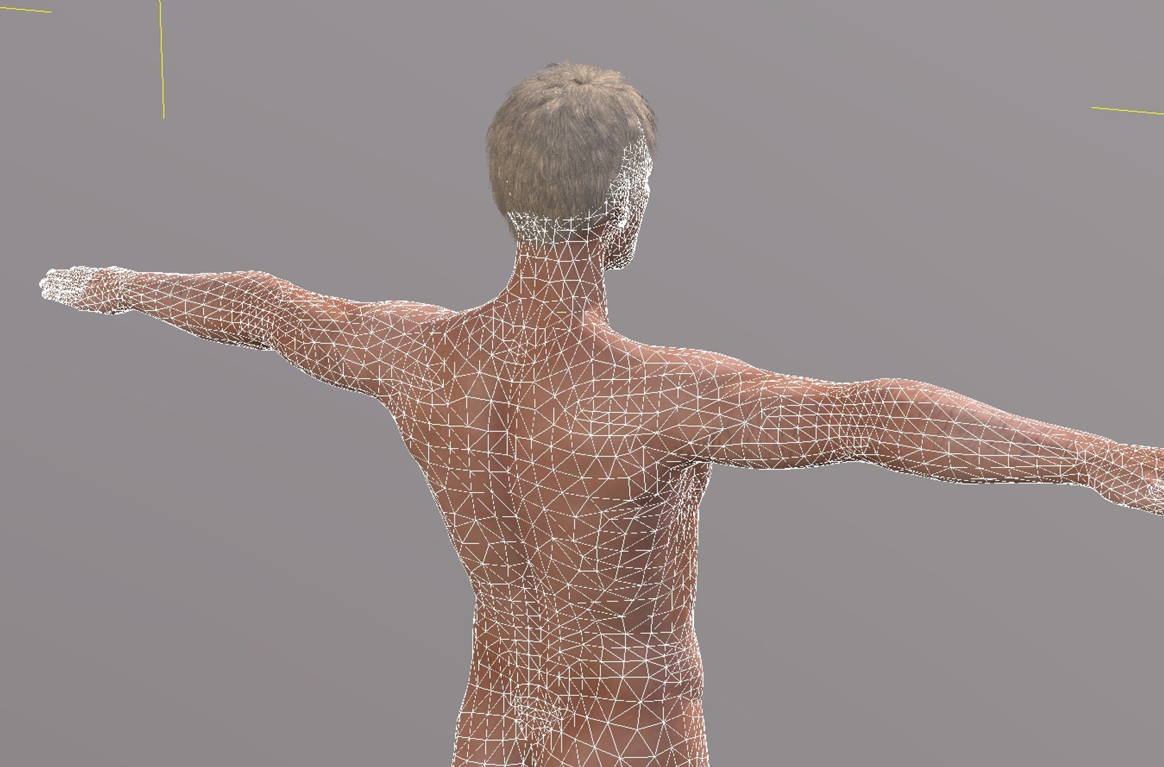 Man Character Rigged Model - TurboSquid 1555631