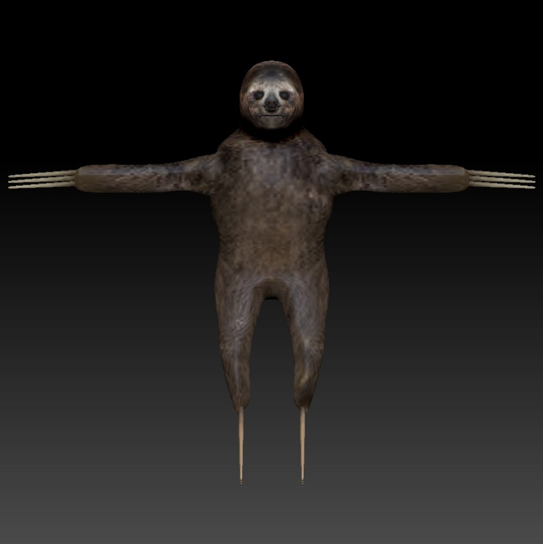 3D Sloth - TurboSquid 1627098