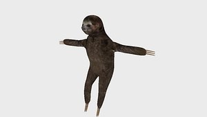 3D Sloth Models - Browse & Download Formats - TurboSquid
