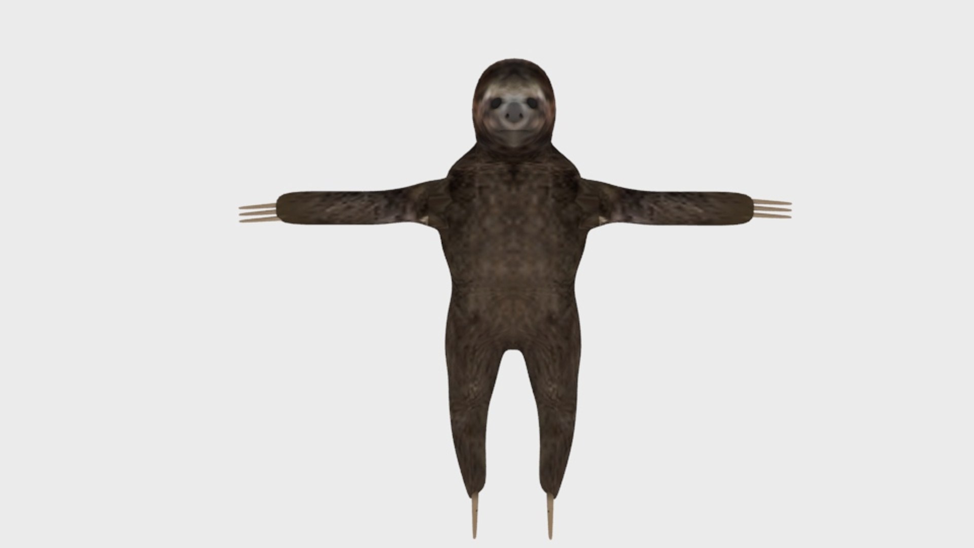 3D Sloth - TurboSquid 1627098