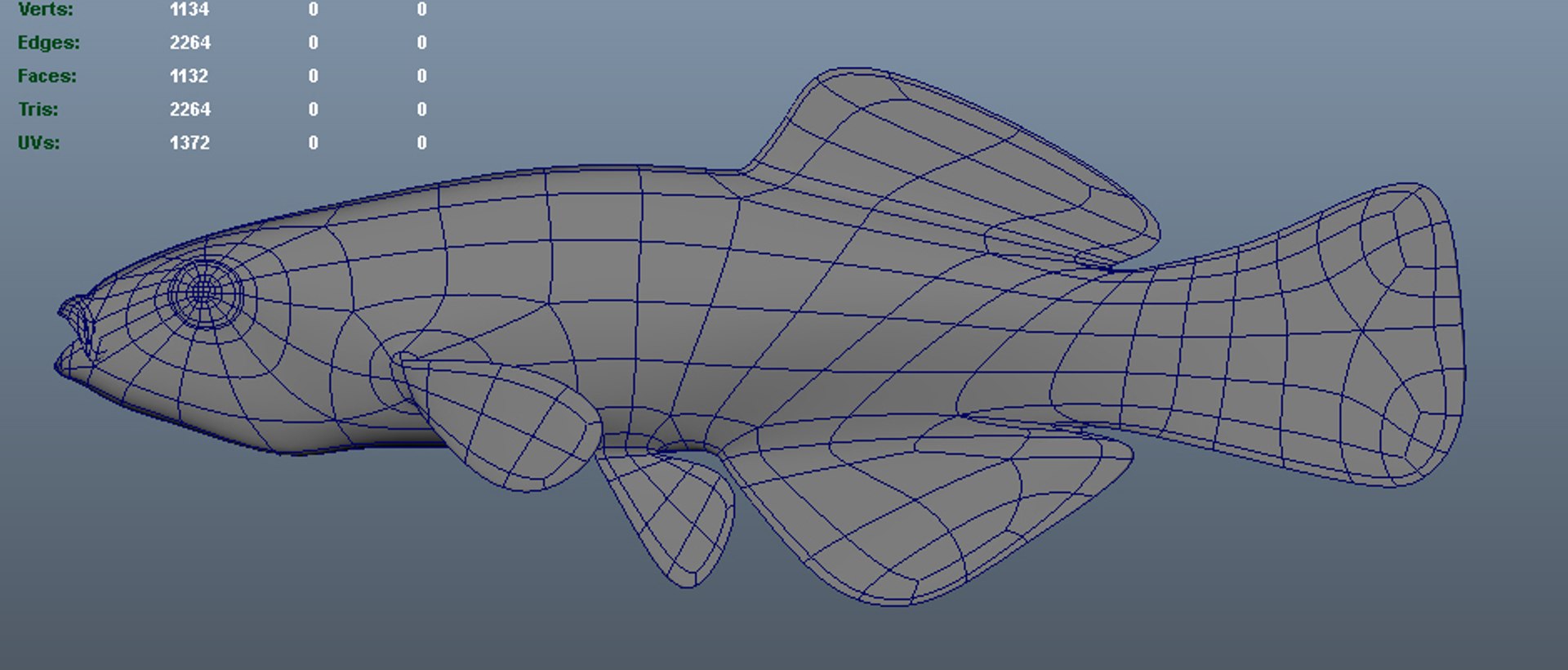 3D Model Fundulus Catenatus Northern Studfish - TurboSquid 1170842