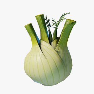3D Fennel Models | TurboSquid