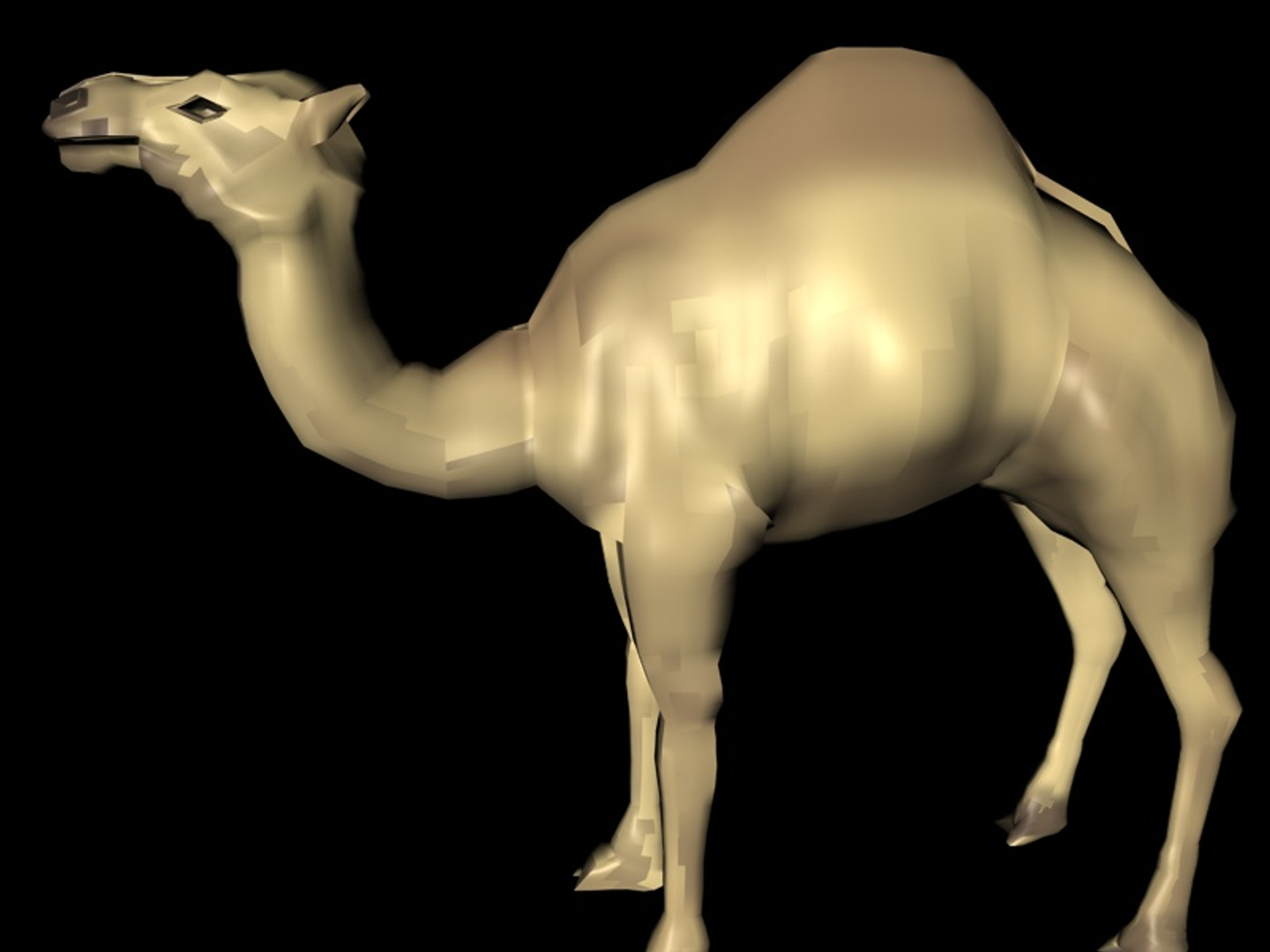 free camel 3d model