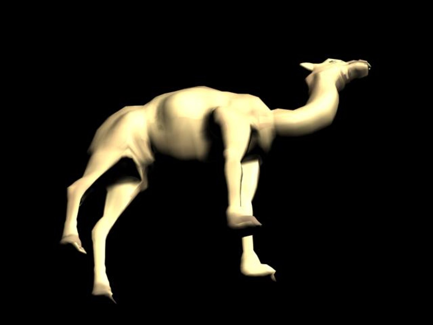 Free Camel 3d Model