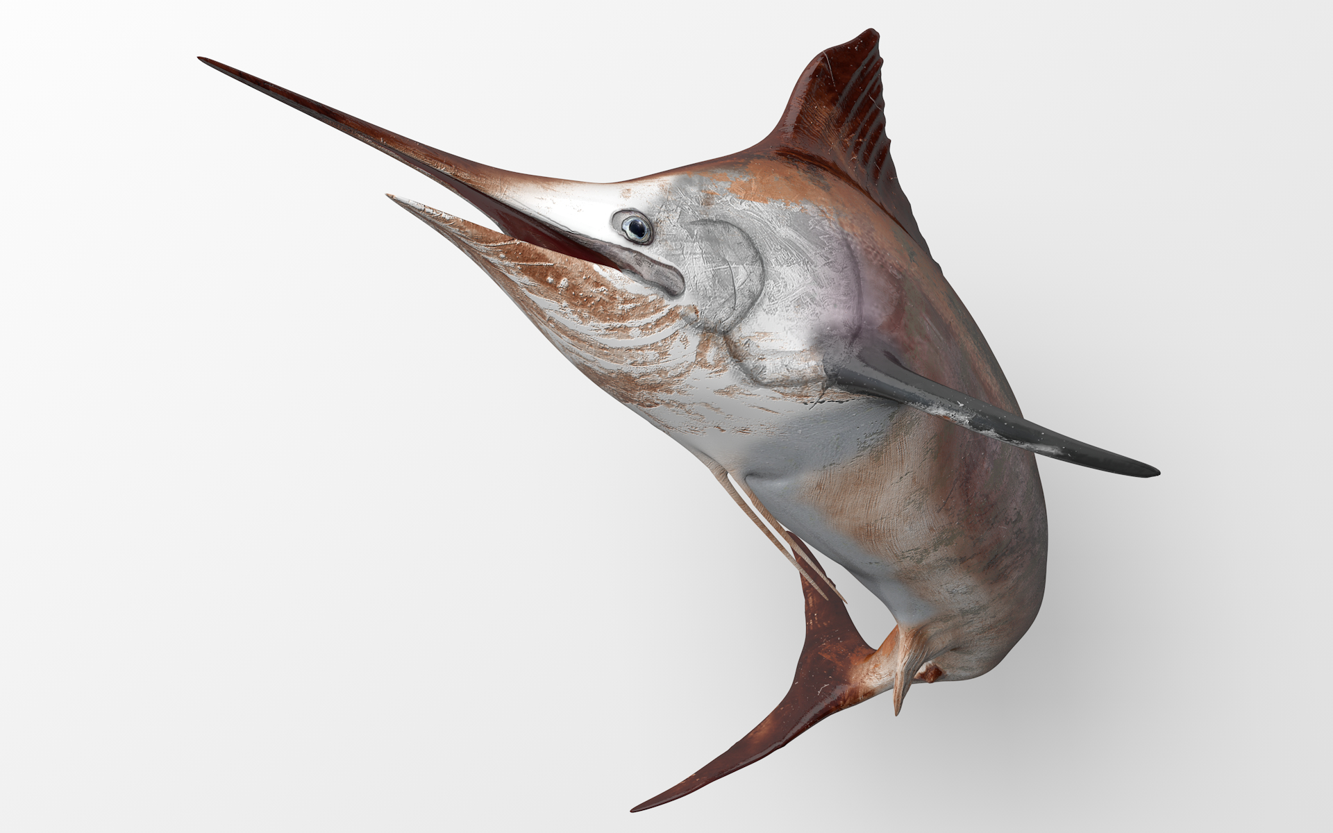 3D Marlin Rigged L1831 - TurboSquid 1966783