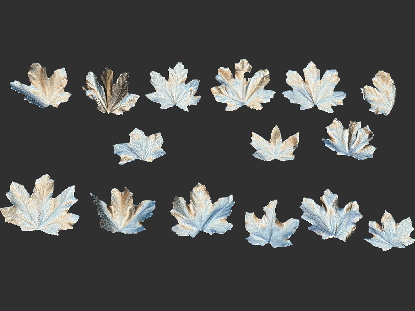 3D Autumn Leaves Scan Pack Model - TurboSquid 1340458
