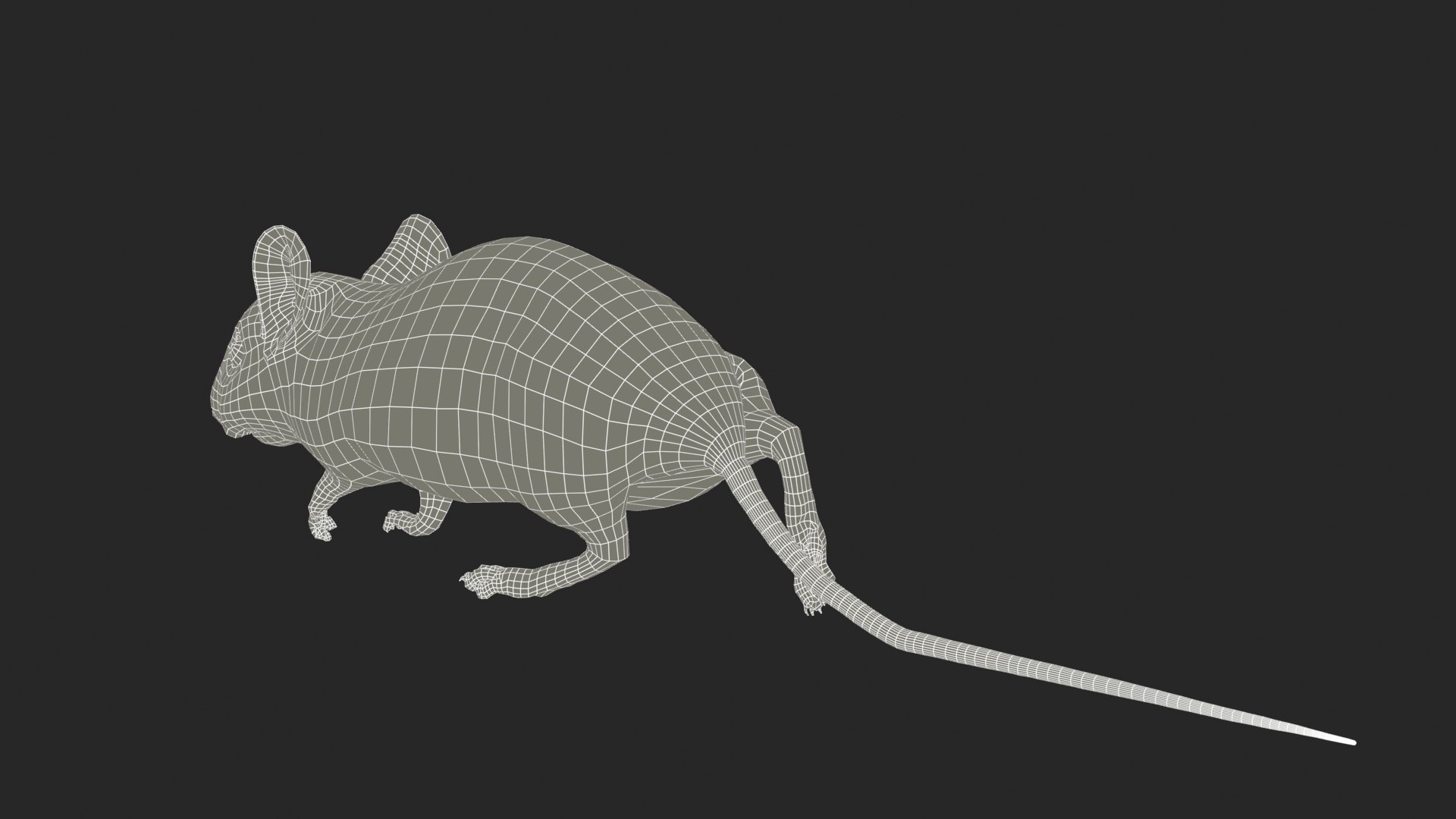 3D Model Mouse - TurboSquid 1699172