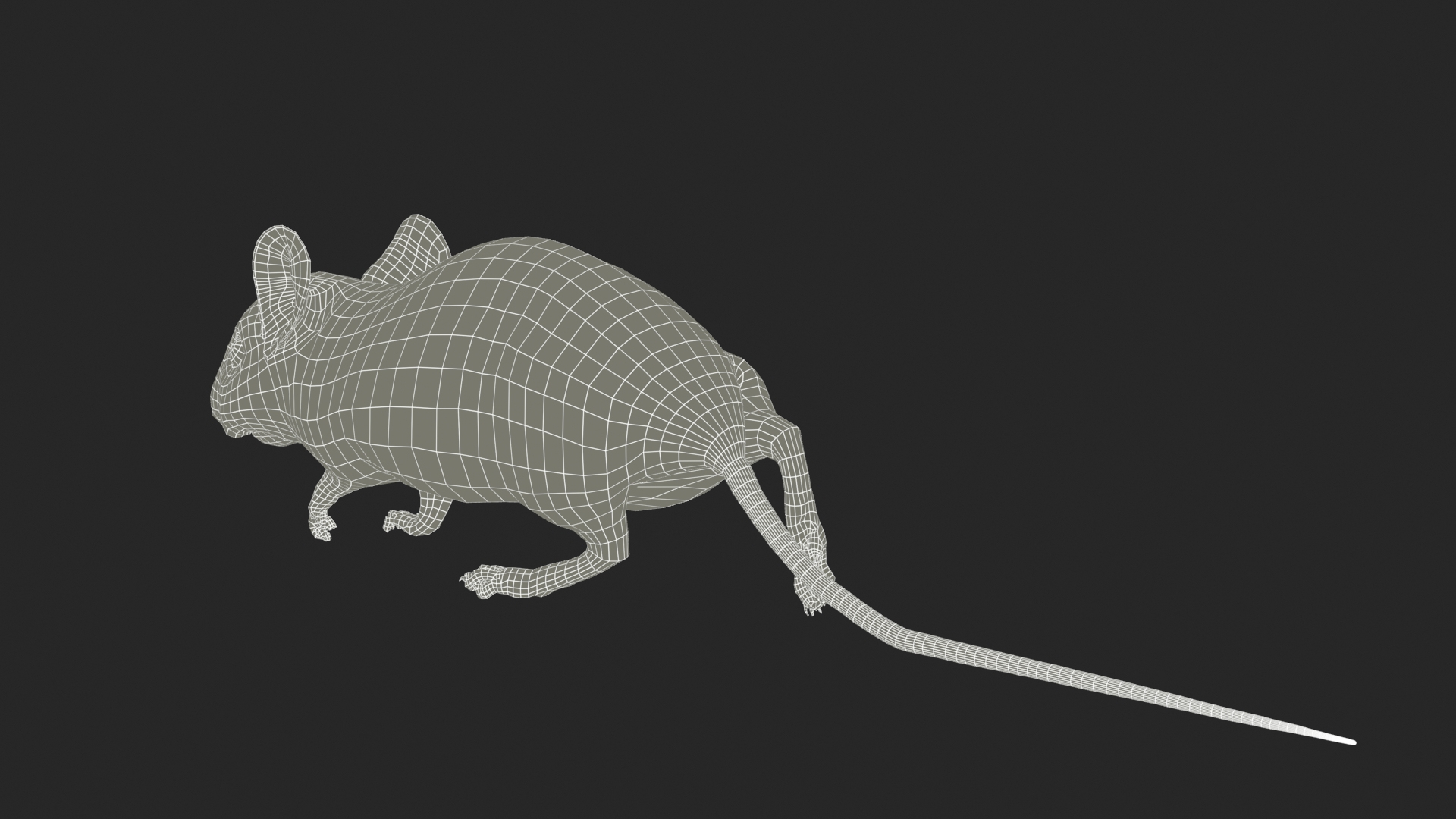 3D model mouse - TurboSquid 1699172